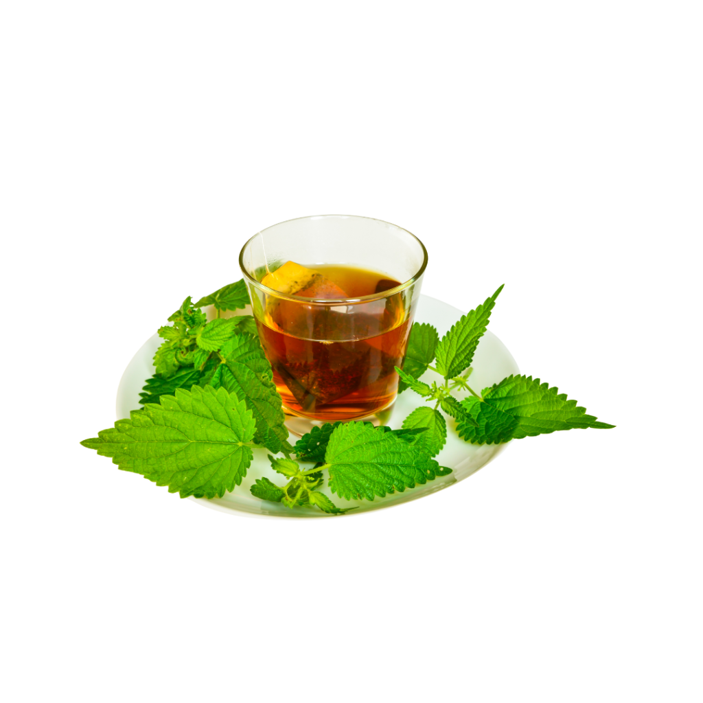 ORTIGA INFUSION – 40 g – SanoAlimentos